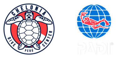 Chelonia Dive Center – Centro de Buceo en Los Organos