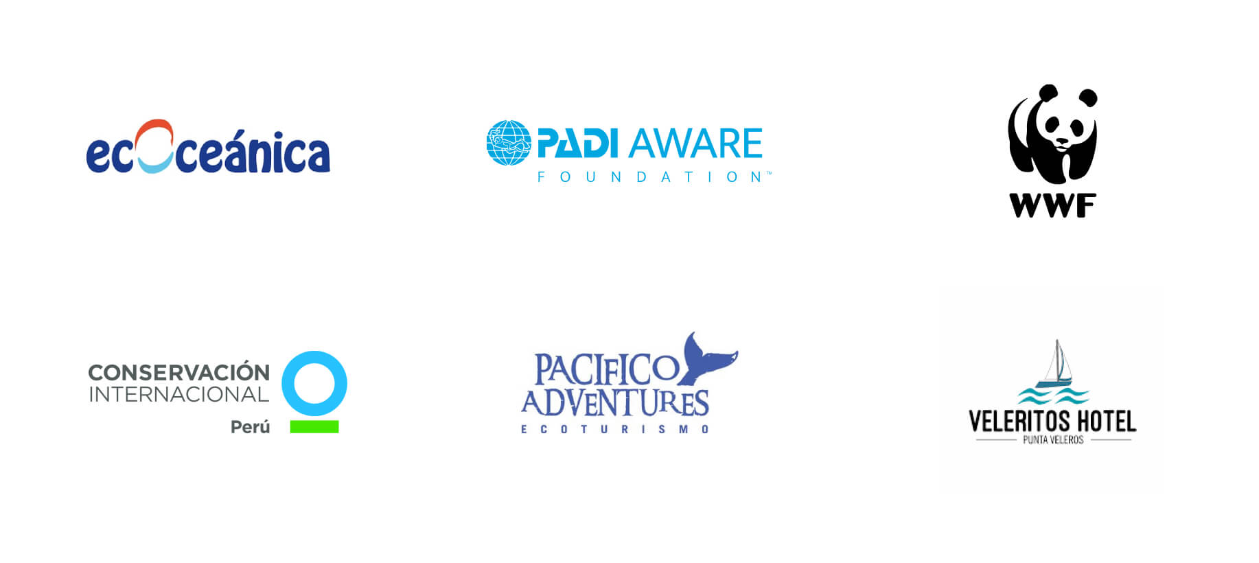 Chelonia Dive Center – Centro de Buceo en Los Organos